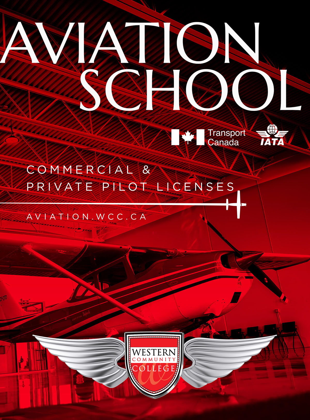 Soaring to New Heights - Introducing Our Premier Aviation Wing at ...