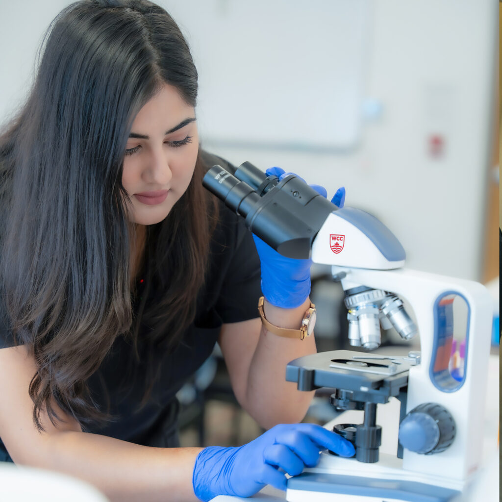 Medical Lab Assistant Program | Hands-On – WCC