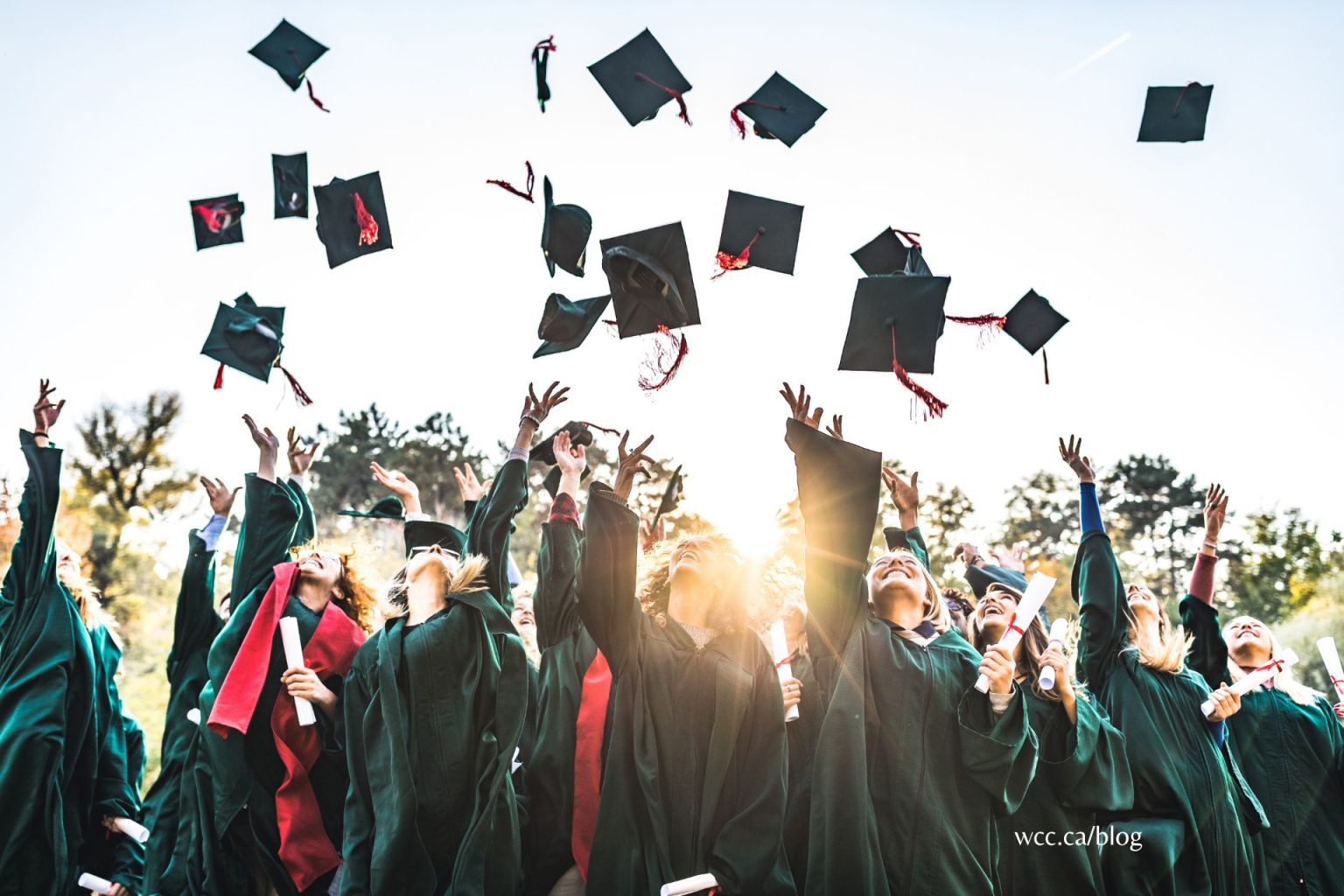 How to boost your employability after graduation | WCC - Western ...